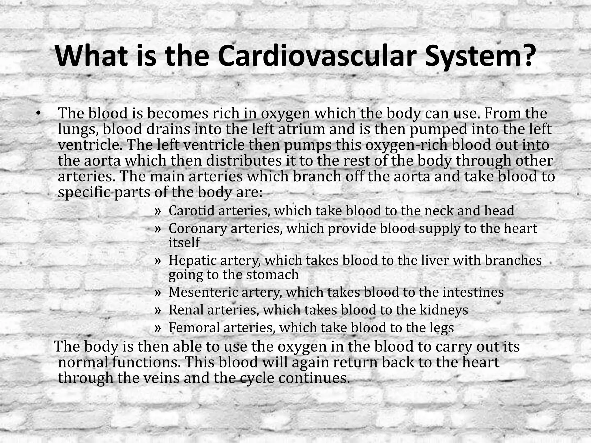 CARDIOVASCULAR SYSTEM, MYOCARDIAL INFRACTION AND LABORATORY DIAGNOSIS | PPT