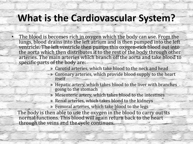 CARDIOVASCULAR SYSTEM, MYOCARDIAL INFRACTION AND LABORATORY DIAGNOSIS | PPT