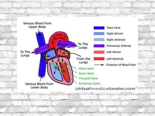 CARDIOVASCULAR SYSTEM, MYOCARDIAL INFRACTION AND LABORATORY DIAGNOSIS | PPT