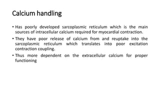 Paediatric Myocaedial protection | PPTX