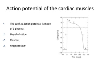 Myocardial Action Potential Diagram