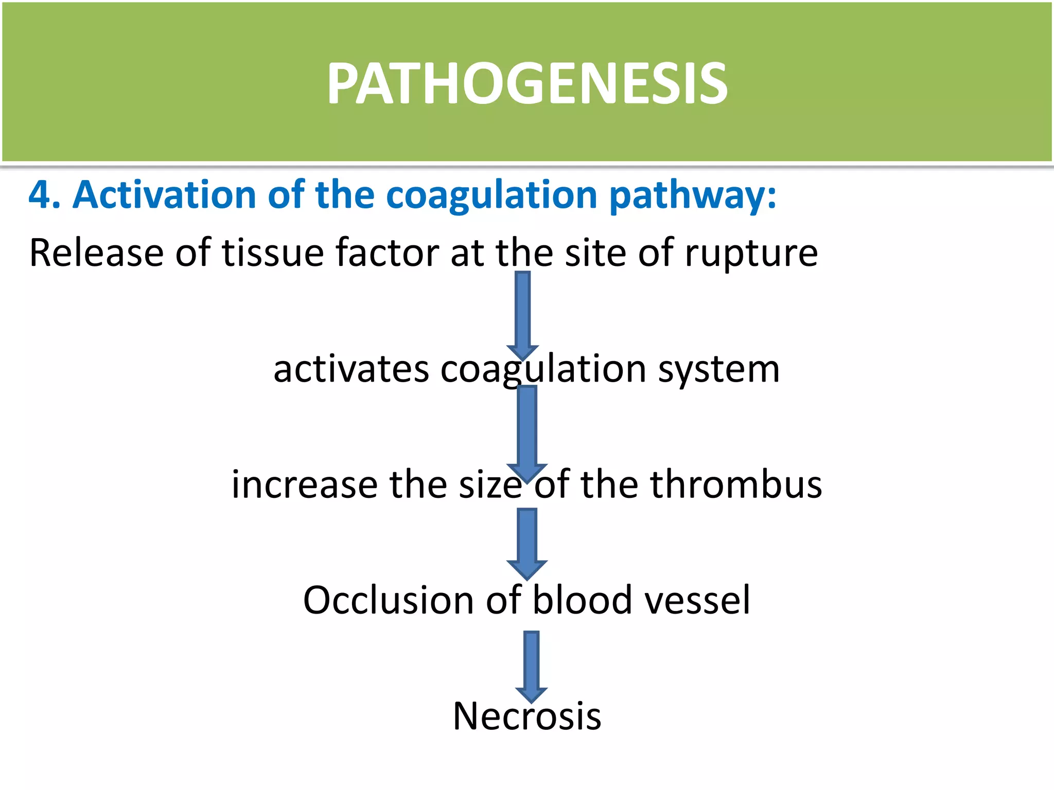 Pathogenesis And Morphological changes of Myocardial Infarction | PPTX