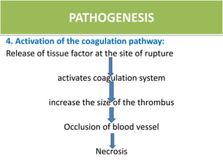Pathogenesis And Morphological changes of Myocardial Infarction | PPTX