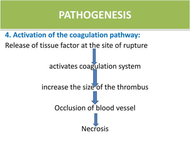 Pathogenesis And Morphological changes of Myocardial Infarction | PPTX