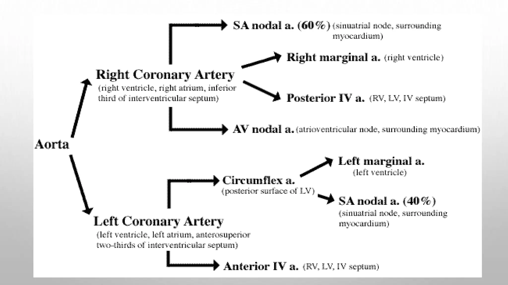 Myocardial infarction: introduction, clinical manifestation ...
