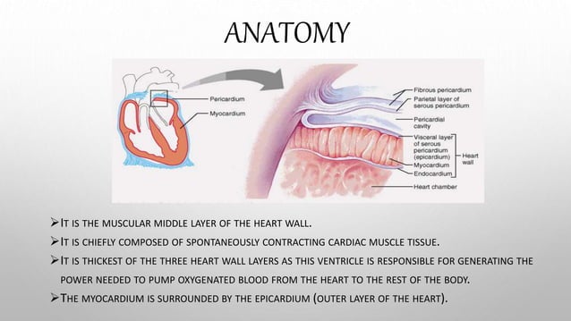 Myocardial infarction: introduction, clinical manifestation ...