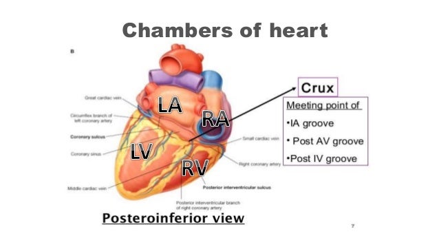 Myocardial infarction 16th batchPDCH