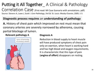 Myocardial Infarction Histology Timeline