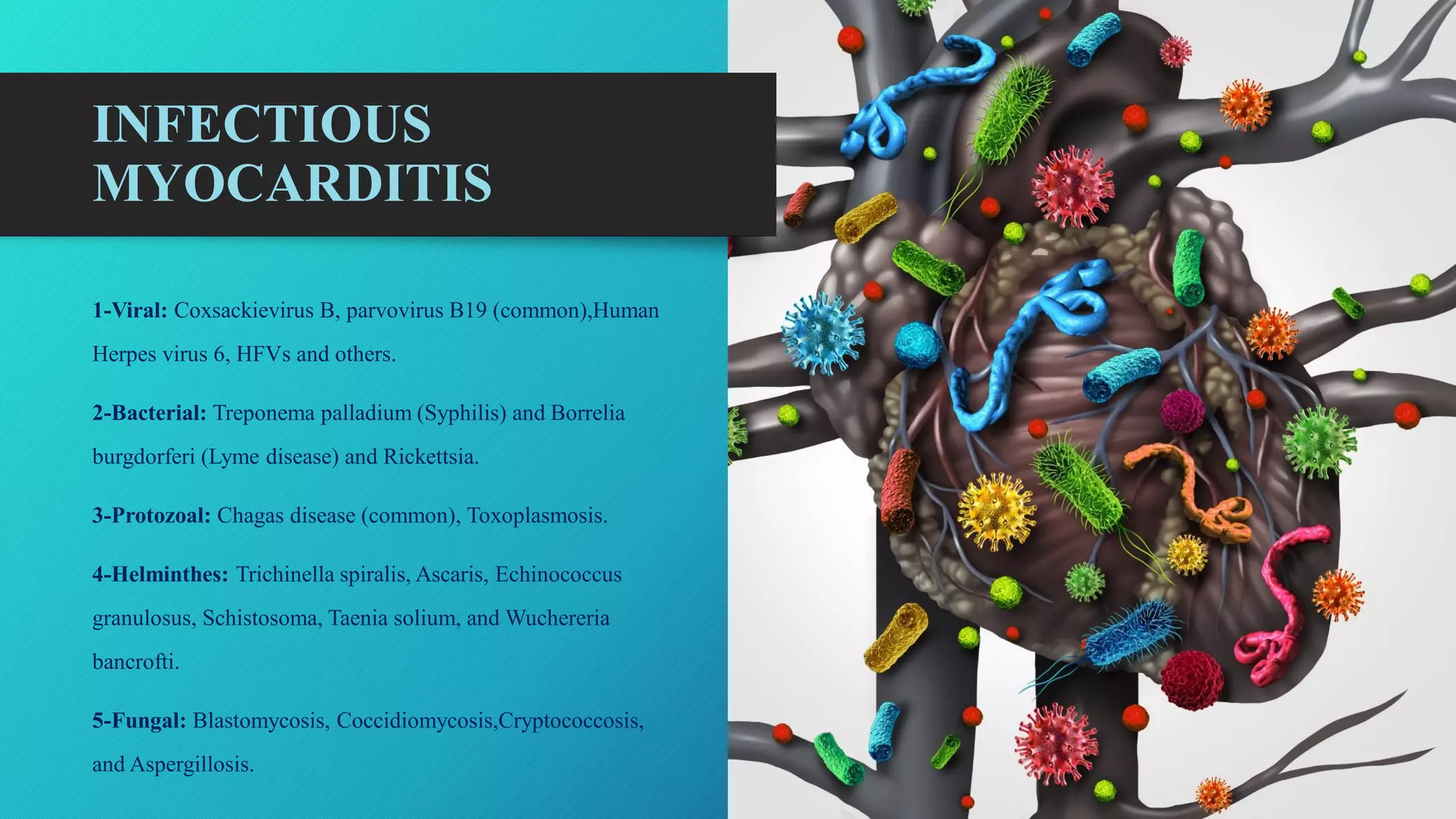 MYOCARDITIS | PDF
