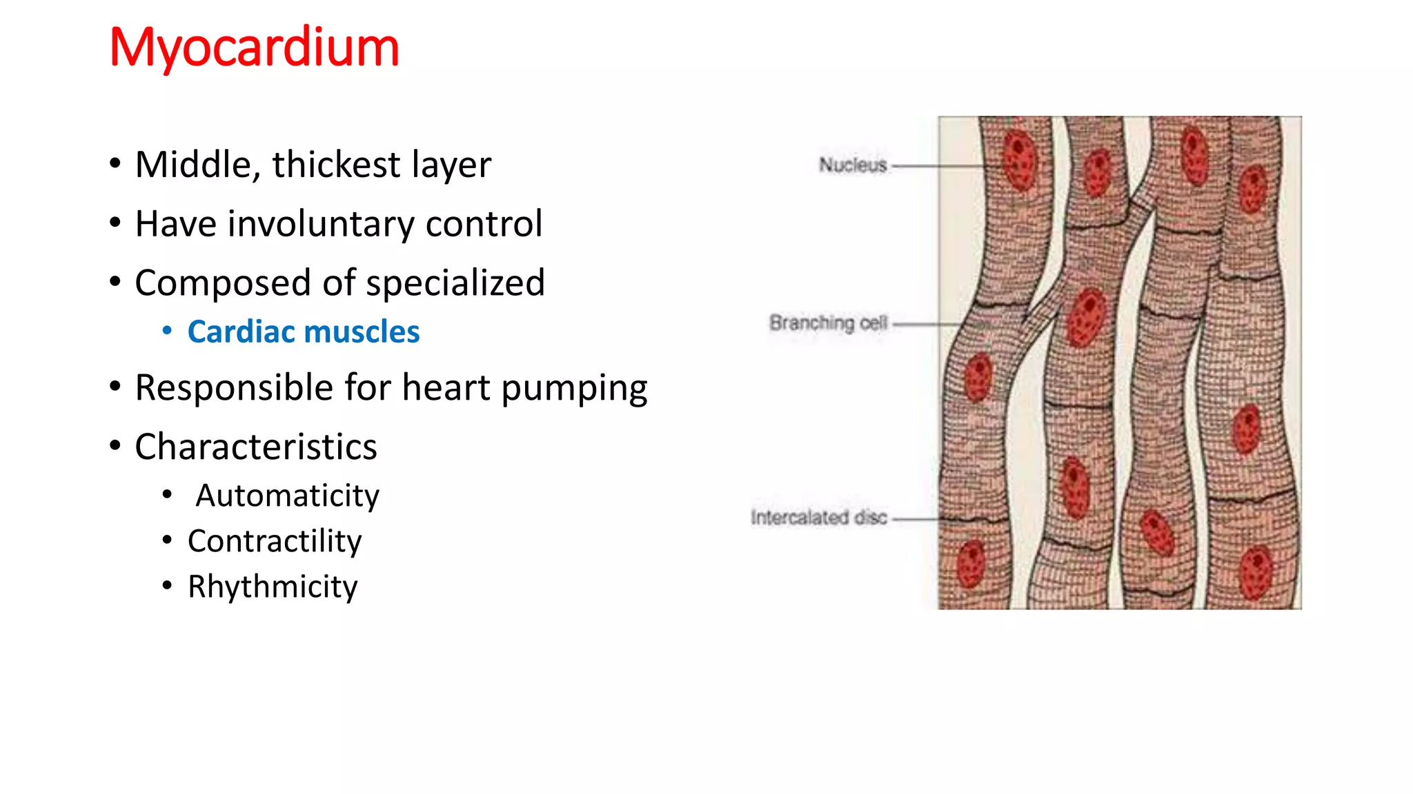 Myocarditis.pptx