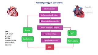 Myocarditis.pptx