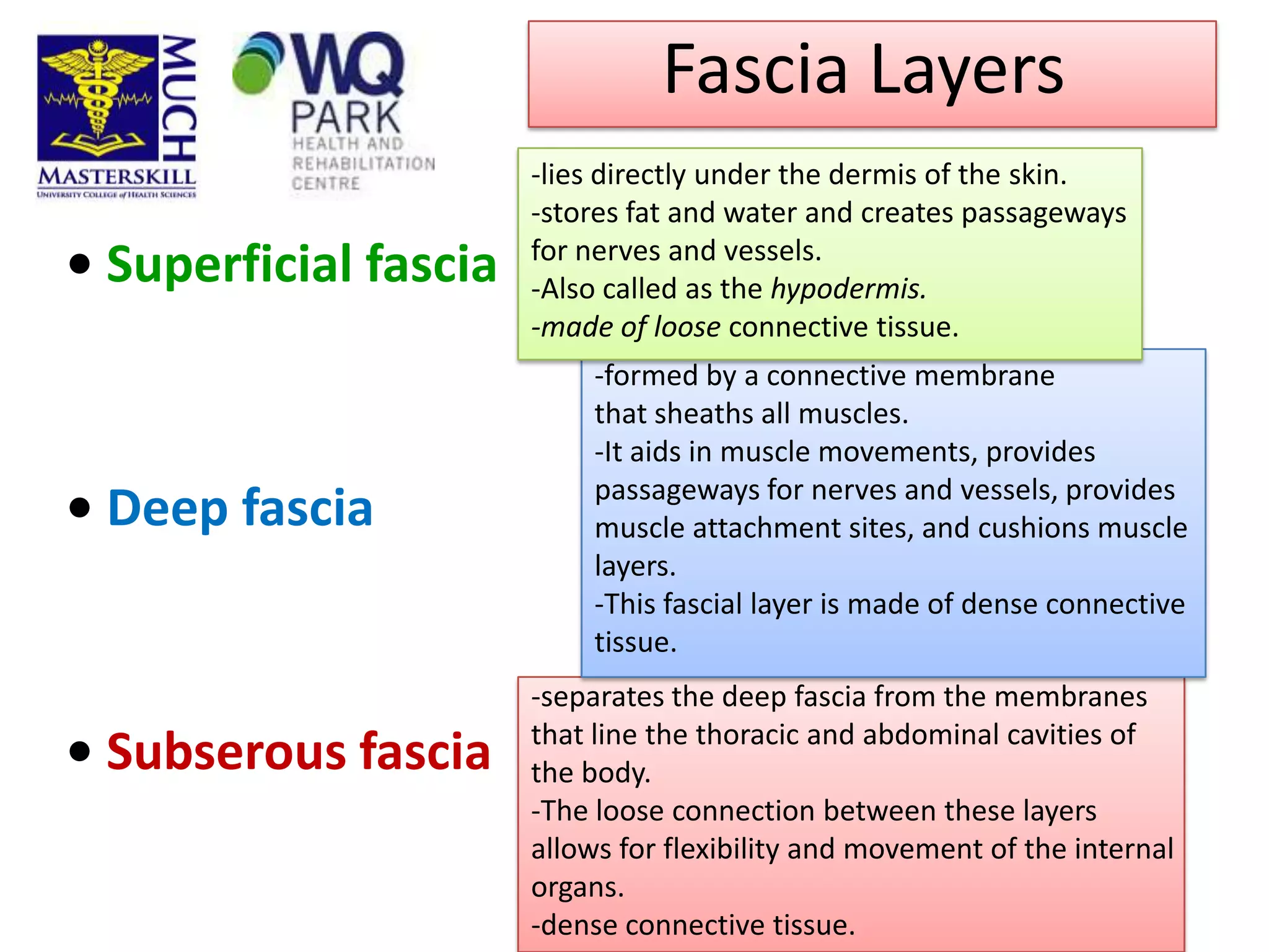 Myofascial pain syndrome | PPTX