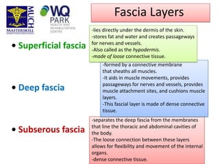 Myofascial pain syndrome | PPTX
