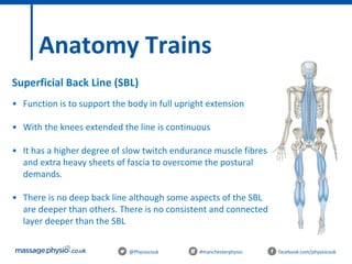 Myofascial Release Presentation | PPTX