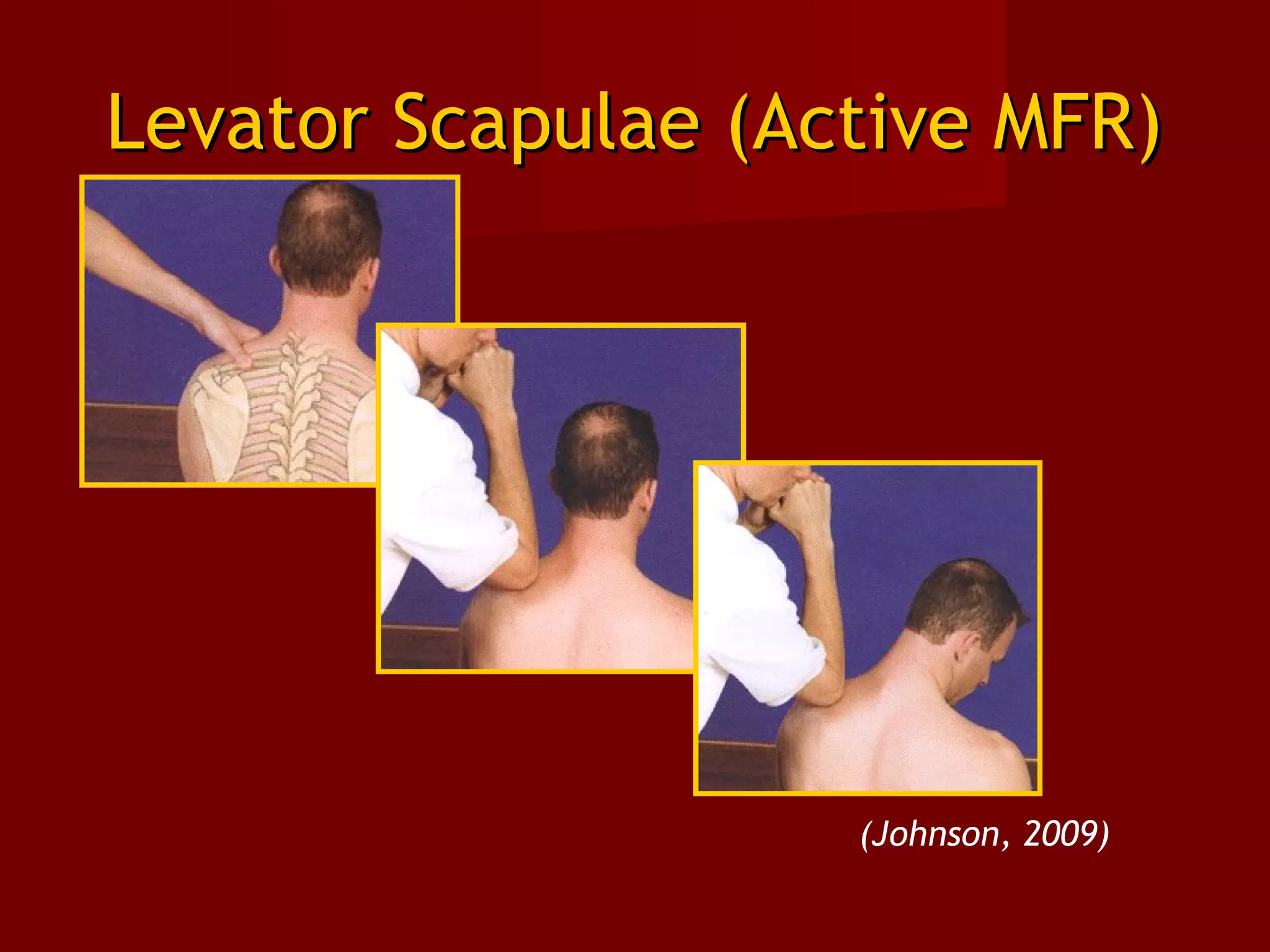 Myofascial release ue (1) | PPT