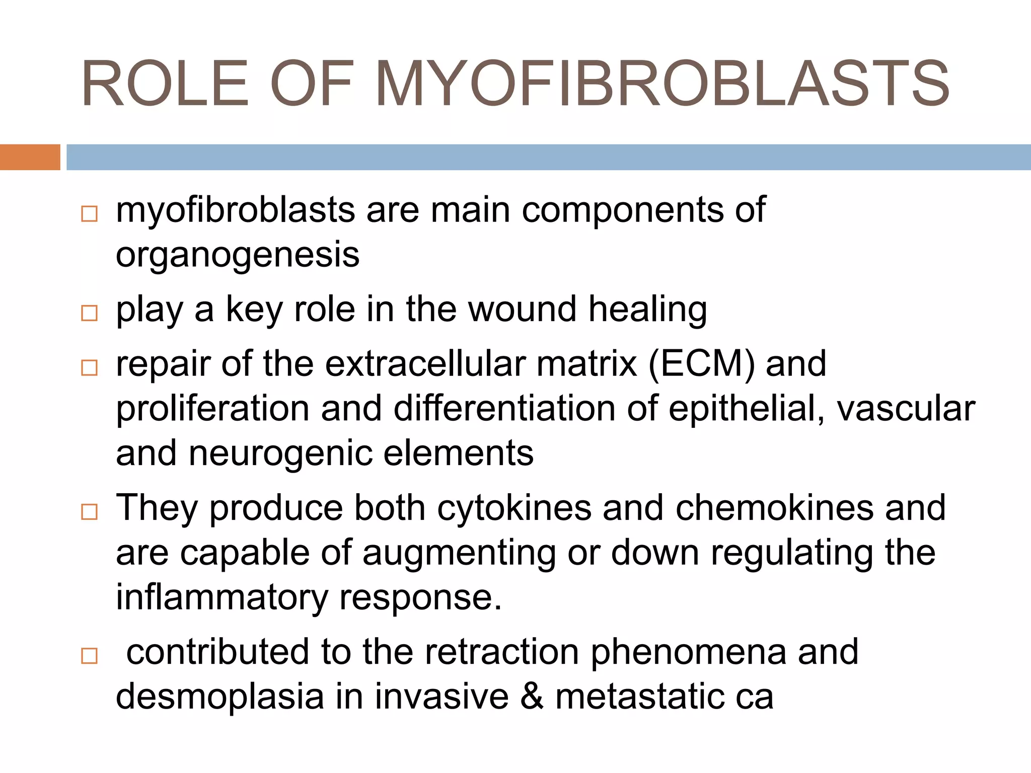 Myofibroblasts in health and disease. Dr. Abhinav Golla , Associate ...