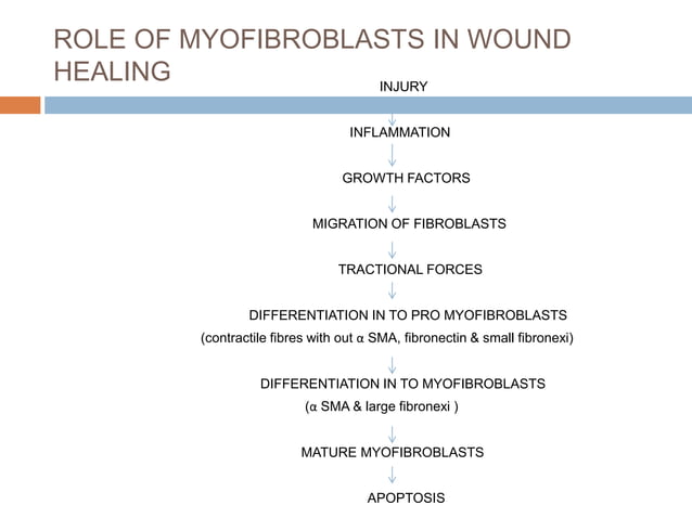 Myofibroblasts in health and disease.pptx