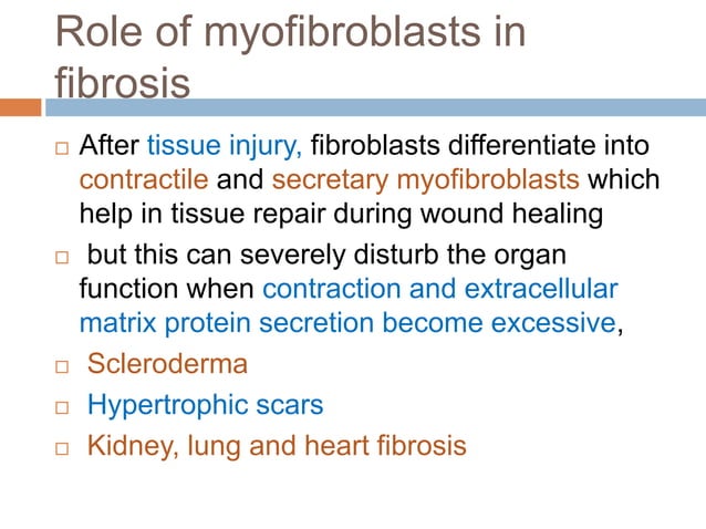 Myofibroblasts in health and disease.pptx