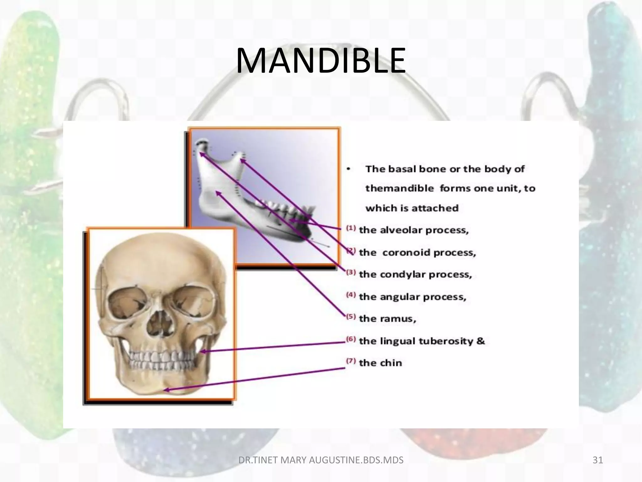 Myofunctional appliances -BASIC PRINCIPLES | PDF