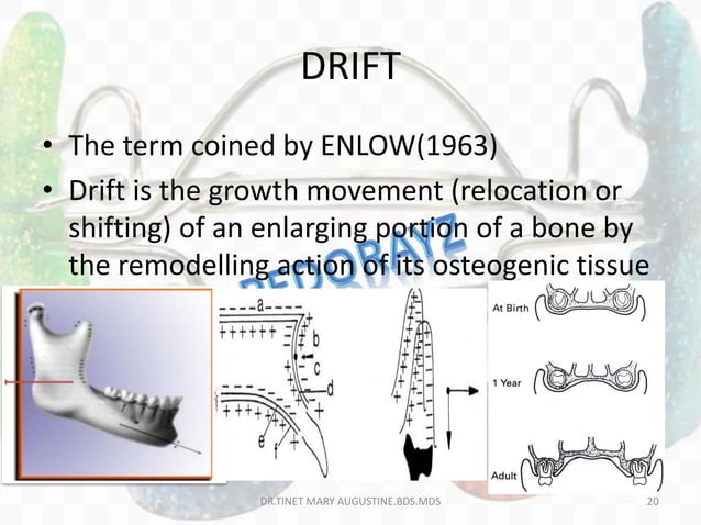 Myofunctional appliances -BASIC PRINCIPLES | PDF