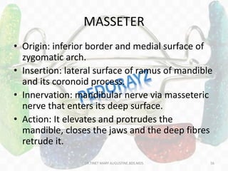 Myofunctional appliances -BASIC PRINCIPLES | PDF