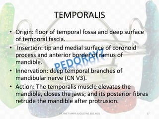 Myofunctional appliances -BASIC PRINCIPLES | PDF