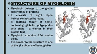 Role of co-ordination chemistry in myoglobin chemistry Myoglobin | PPT