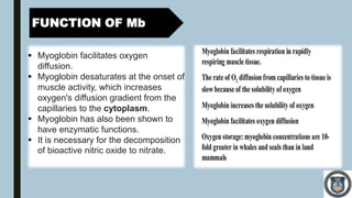 Role of co-ordination chemistry in myoglobin chemistry Myoglobin | PPT