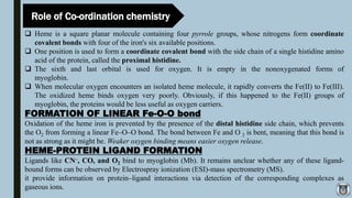 Role of co-ordination chemistry in myoglobin chemistry Myoglobin | PPTX