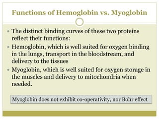 Myoglobin | PPTX