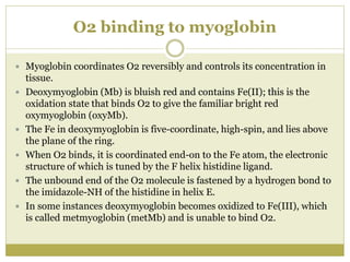 Myoglobin | PPTX