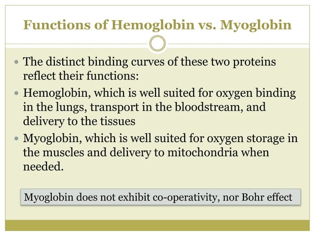 Myoglobin