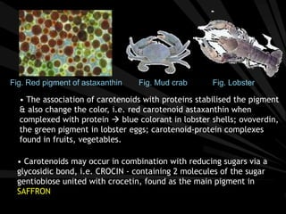 Myoglobin in meat.ppt