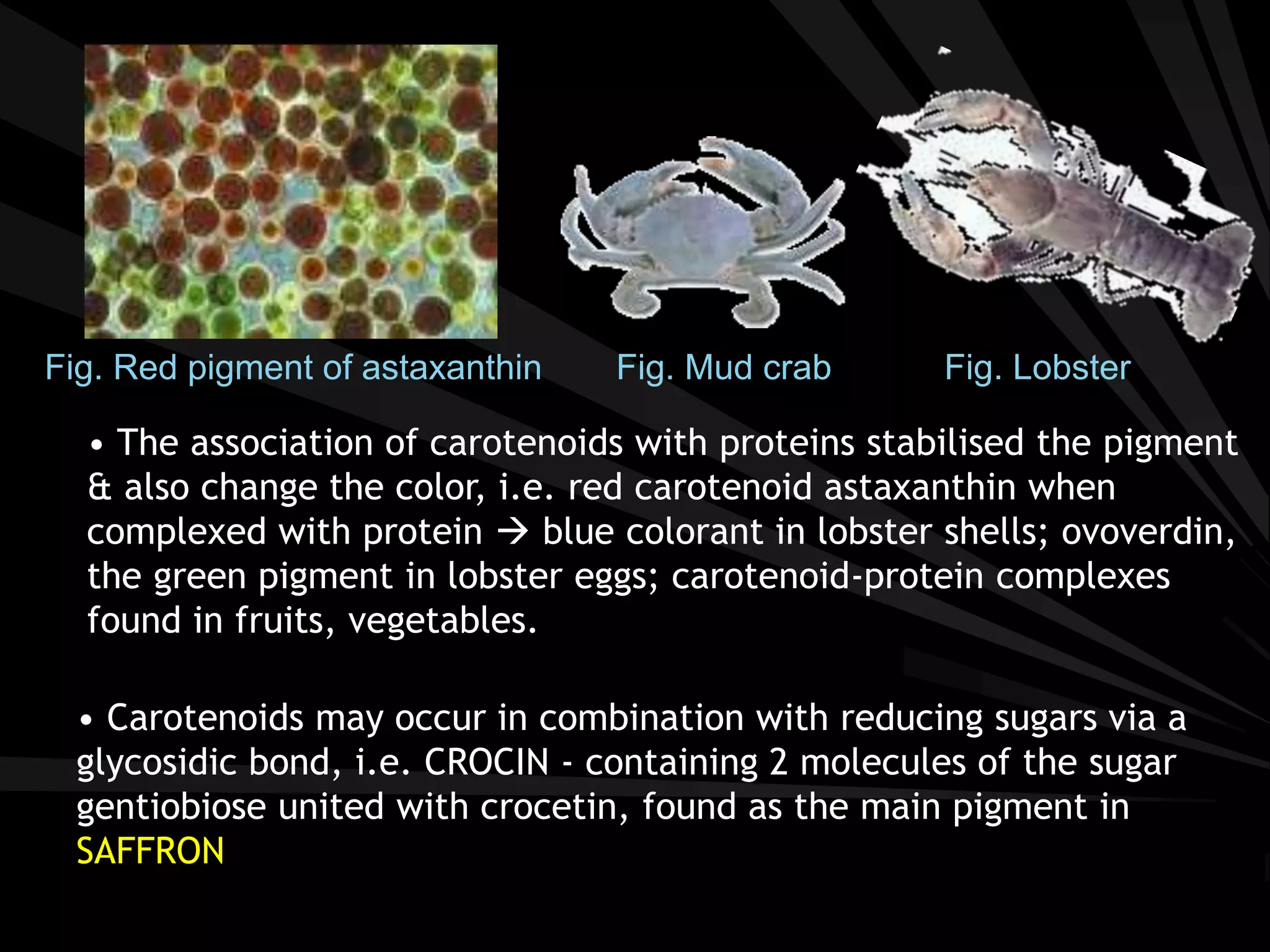 Myoglobin in meat.ppt