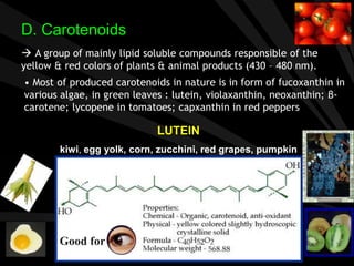 Myoglobin in meat.ppt