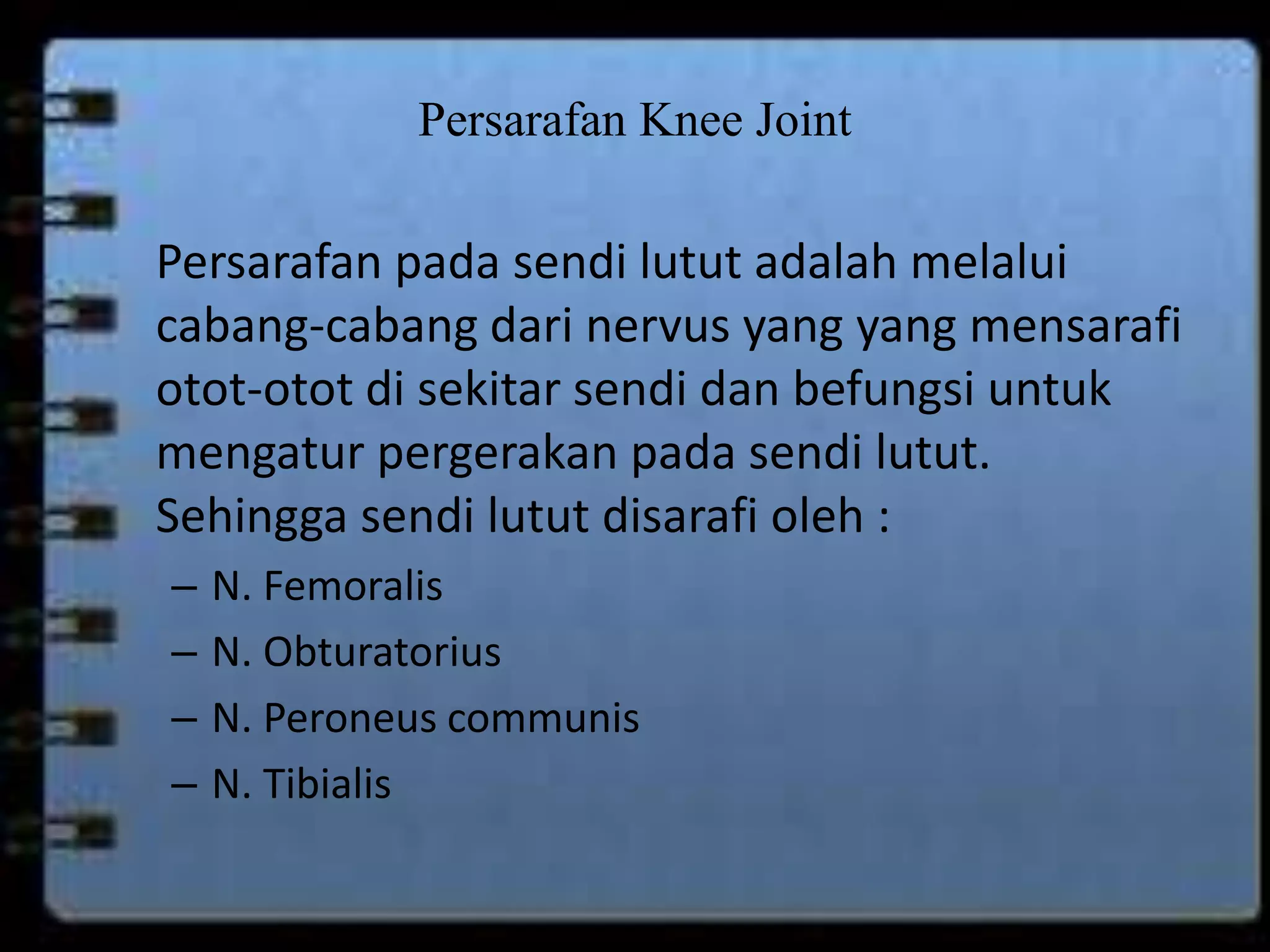 Myologi regio knee joint | PPTX