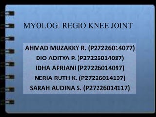 Myologi regio knee joint | PPTX