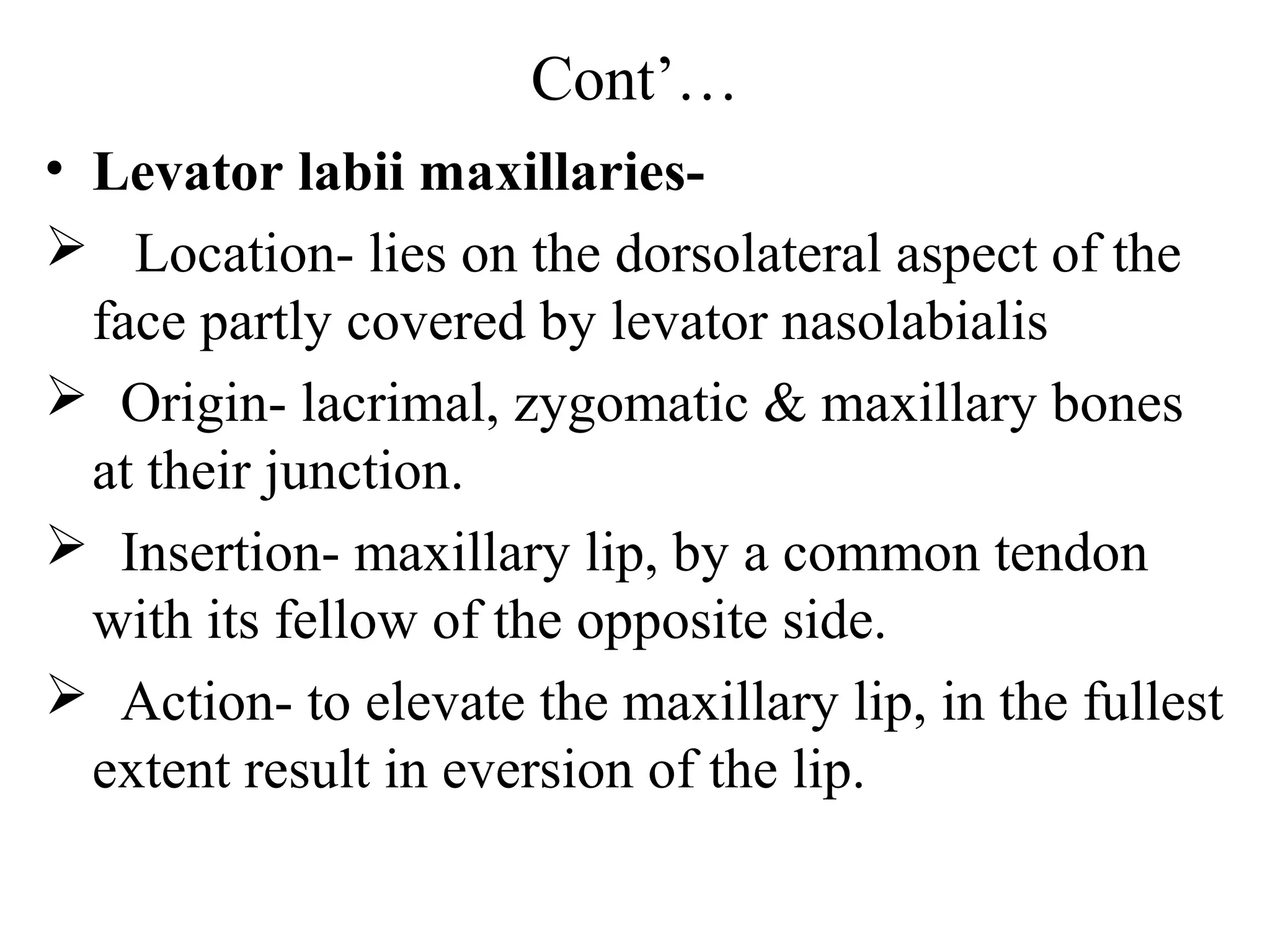 Myology | PPT