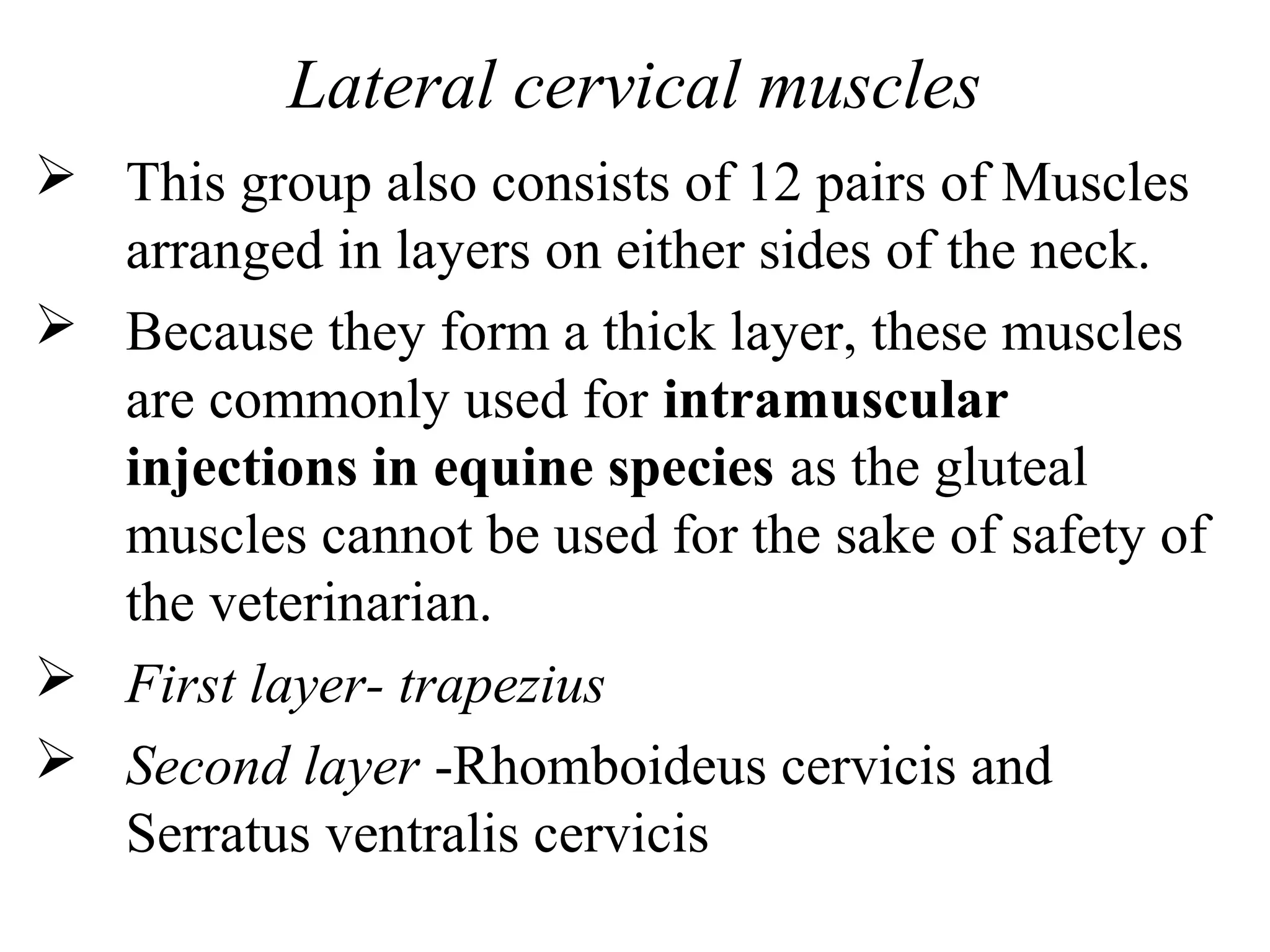 Myology | PPT