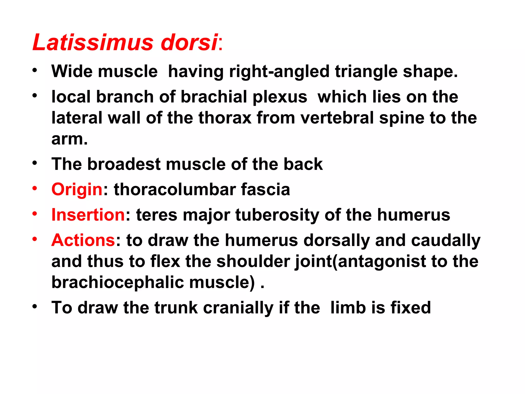 Myology | PPT