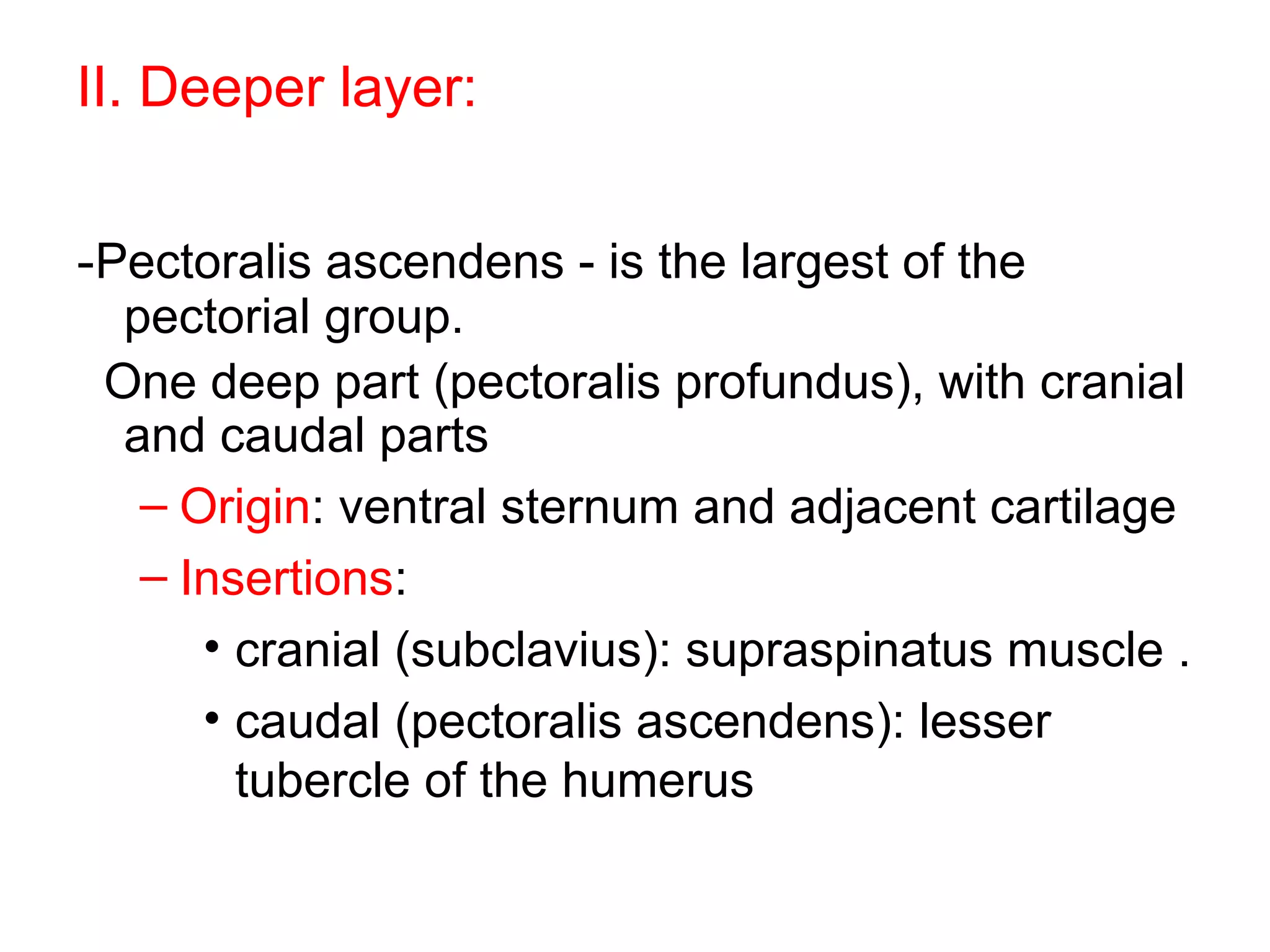 Myology | PPT
