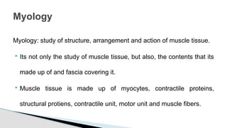 Myology | PPT