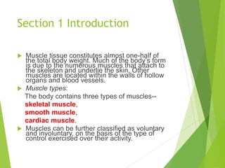 myology.ppt