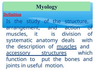 Myology of anatomy . pptx anatomy (pptx) | PPTX