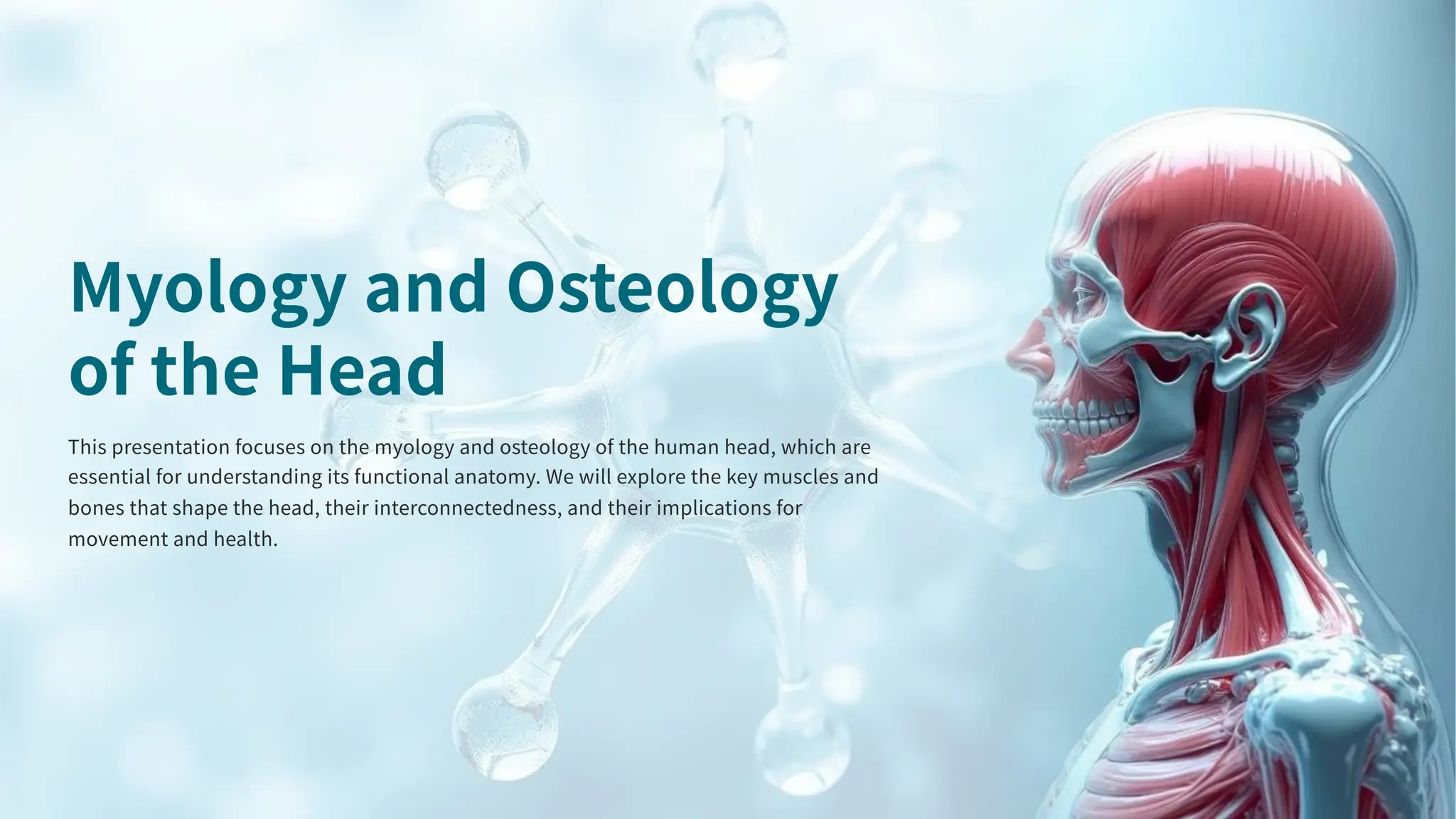 Myology and Osteology of the head....pdf