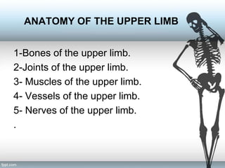 Myology and ostrology of upper limb | PPT