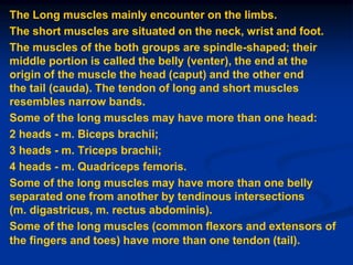 myology and muscles cell muscle in 1 and | PDF