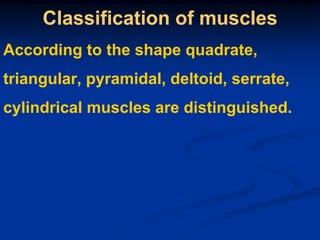 myology and muscles cell muscle in 1 and | PPT