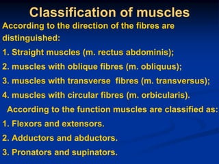myology and muscles cell muscle in 1 and | PDF