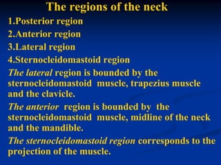 myology and muscles cell muscle in 1 and | PDF